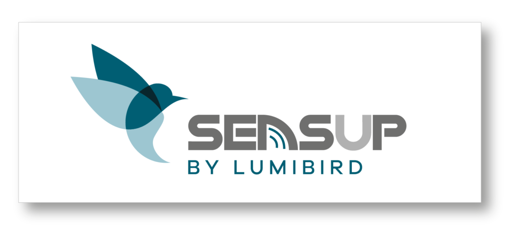 FINANCE - Regulated information 2020 - Lumibird
